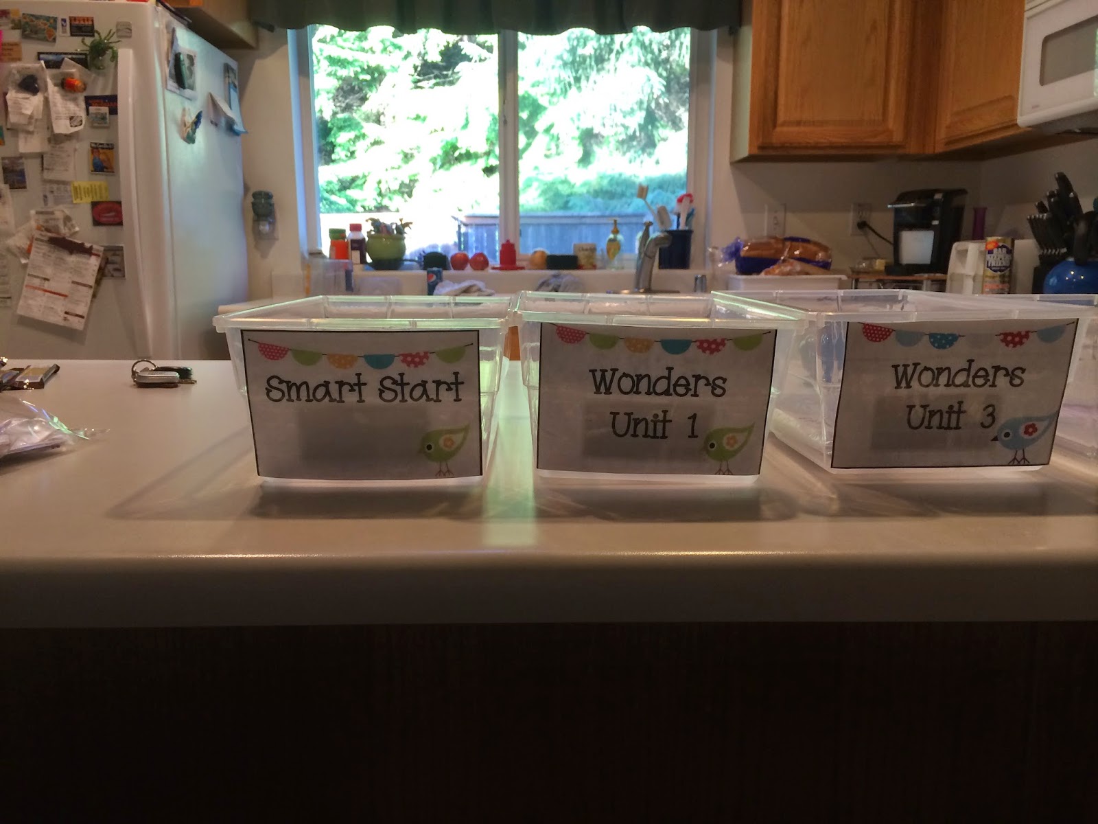 Fishin' In First: McGraw Hill Wonders for First Grade