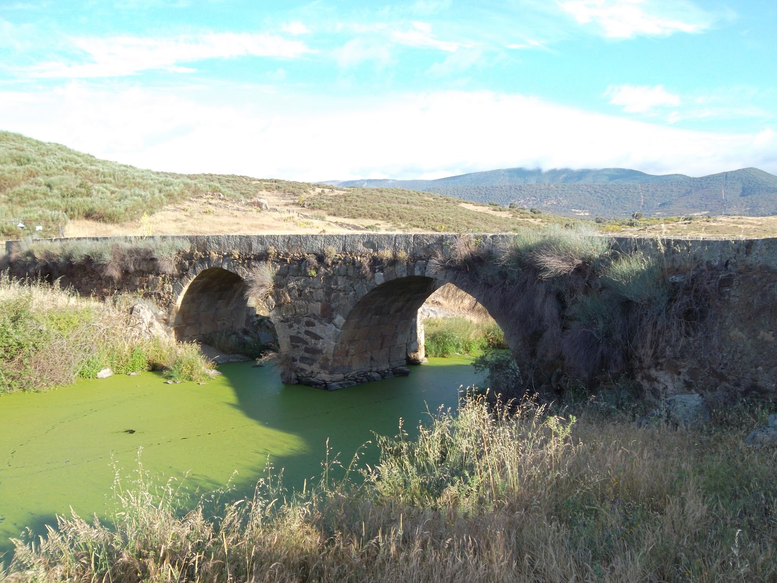 SALIDAS DE CAMPO: Ruta por los alrededores de Logrosán.