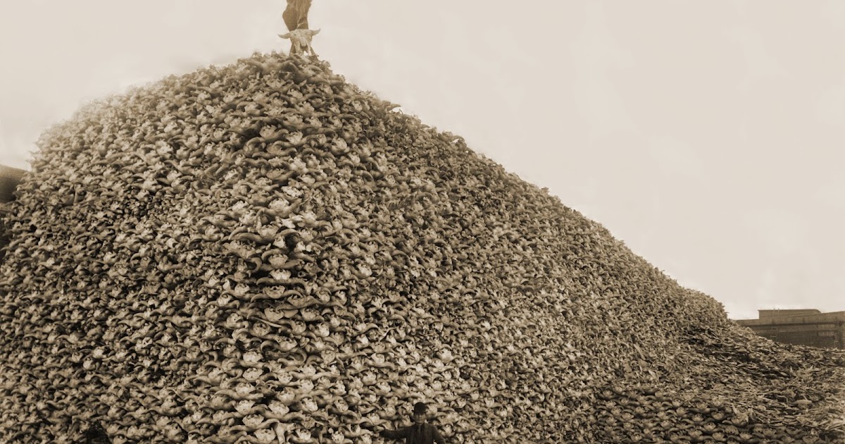 GlobaLove Think Tank: The Man Who Saved The Buffalo