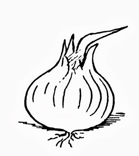 Piešiniai ir darbeliai: Spalvinimo paveiksliukas - Svogūnas