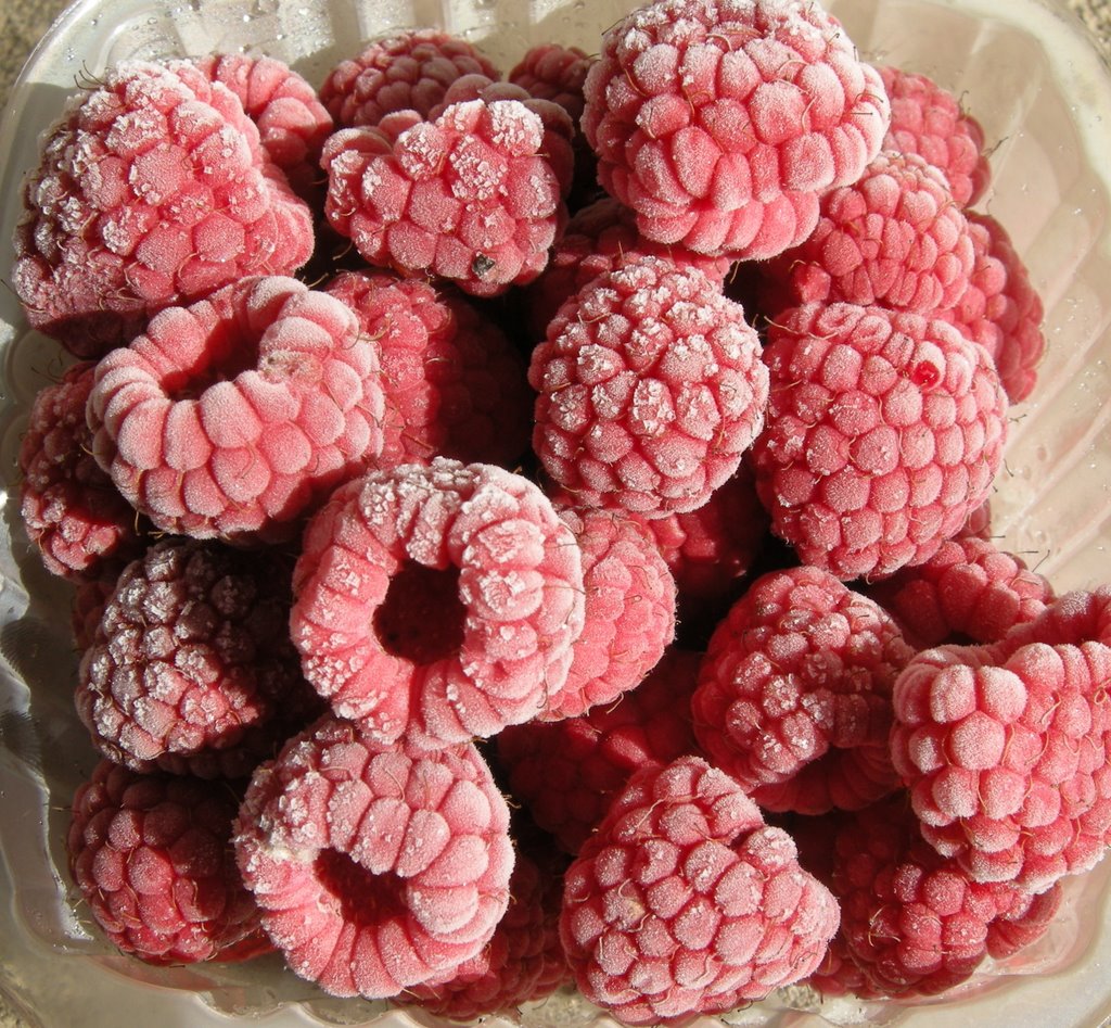 Caoba Farms - Organic Farming in Antigua Guatemala: Our Products