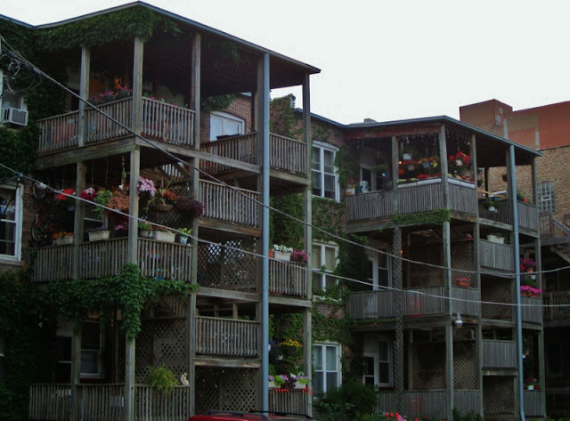 Chain-Link Trellis: Balcony and Fire Escape Gardening