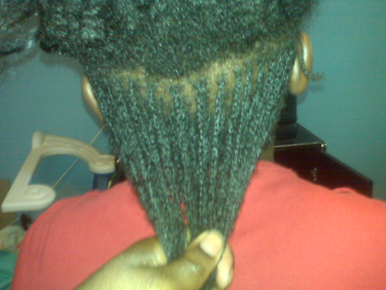 Micro Braid Locs Toronto: Gallery