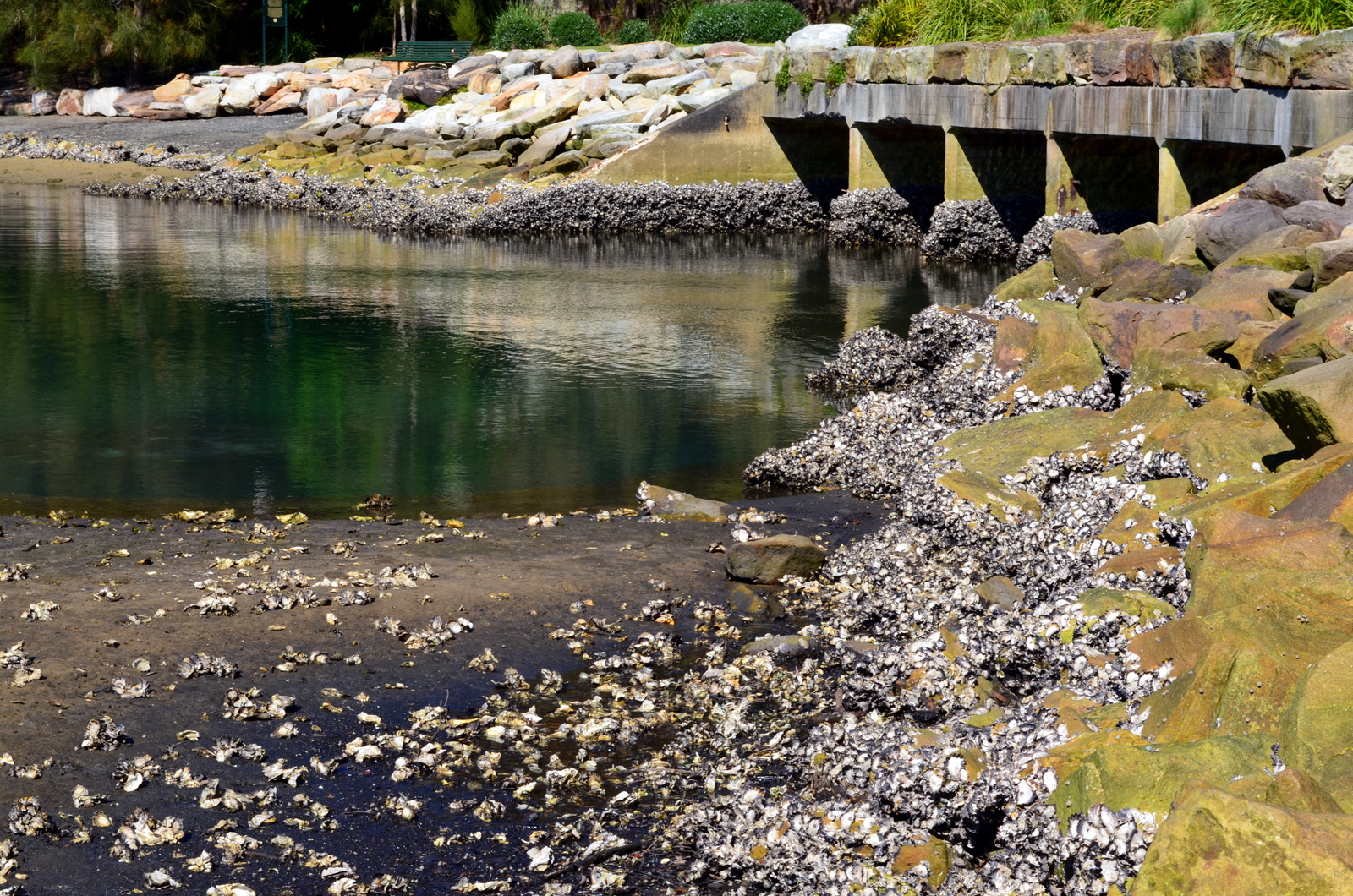 Onedaytech: Tunks Park - Luna Park - Port Botany