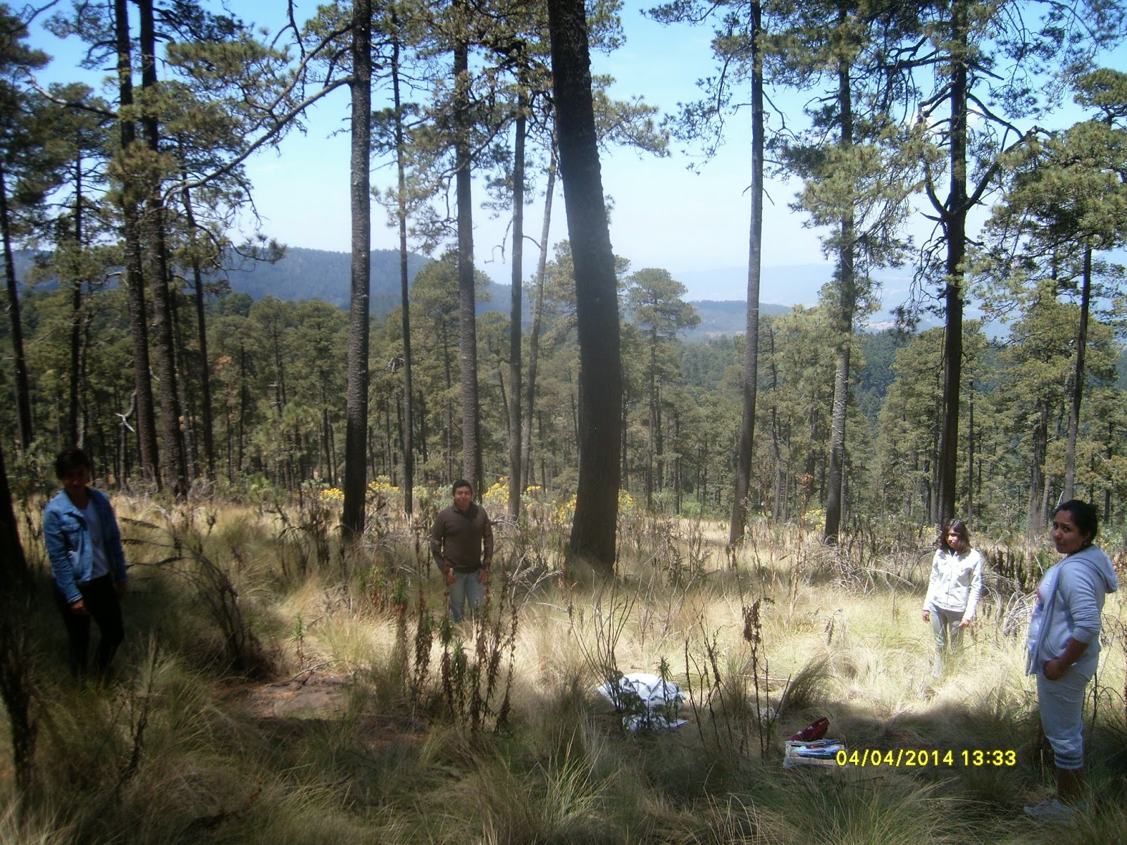 BIODIVERSIDAD DEL PARQUE NACIONAL NEVADO DE TOLUCA
