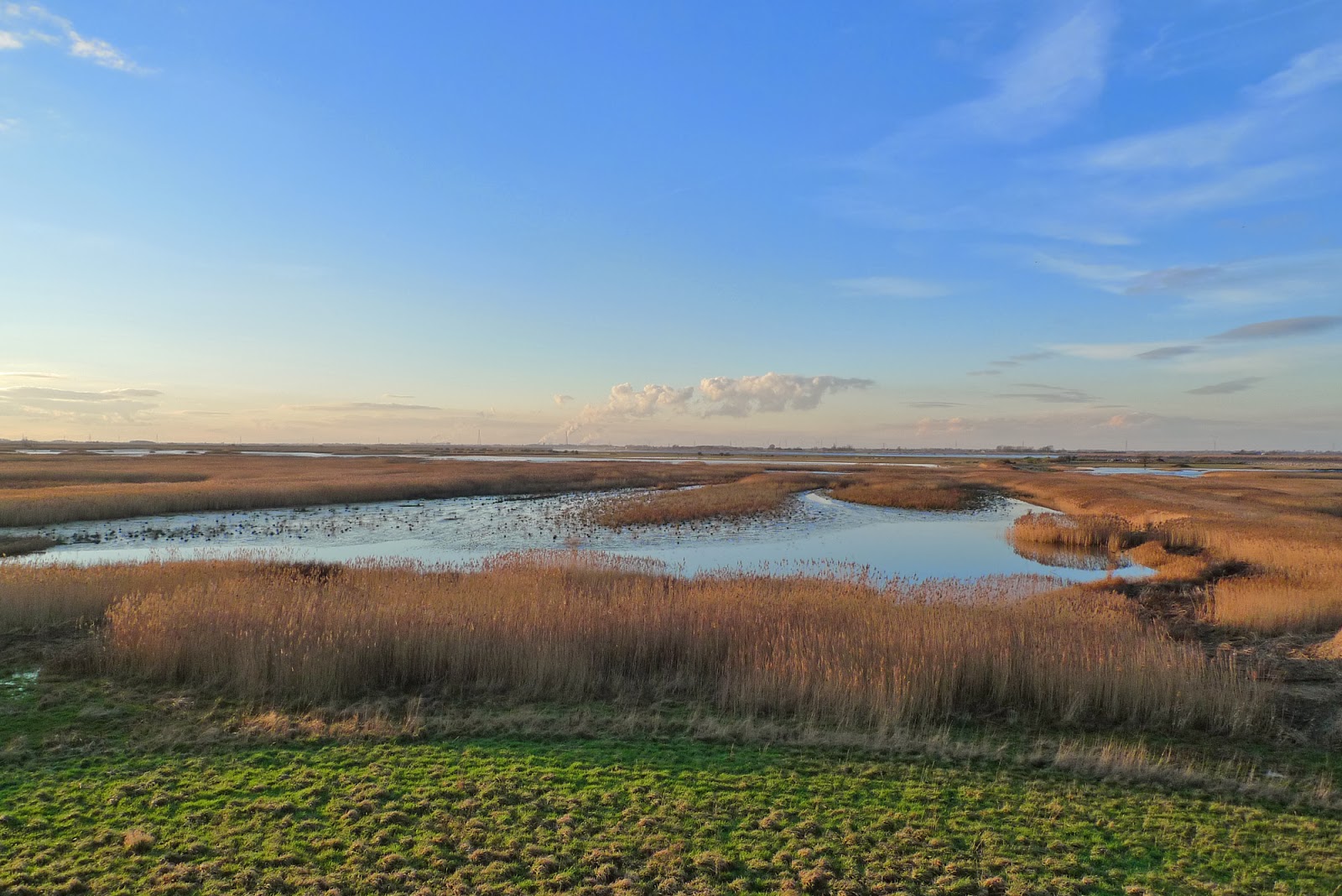 Simon and Karen Spavin: Alkborough Flats