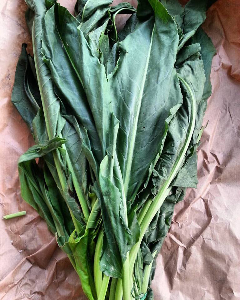 Yemek yolculuğumda öğrendiğim her şey...: Buğdaylı Labada (Efelek) Salatası