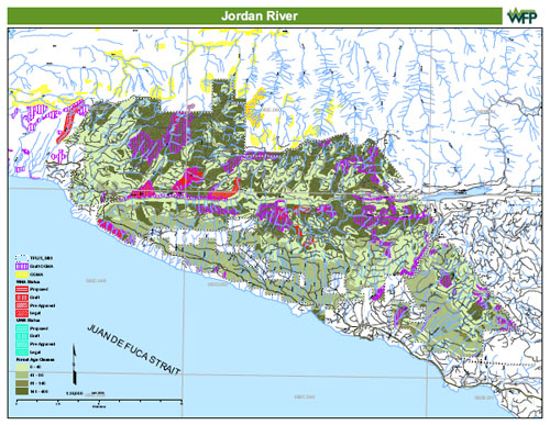 Vancouver Island Clearcuts and Log Exports: Clearcut forecast