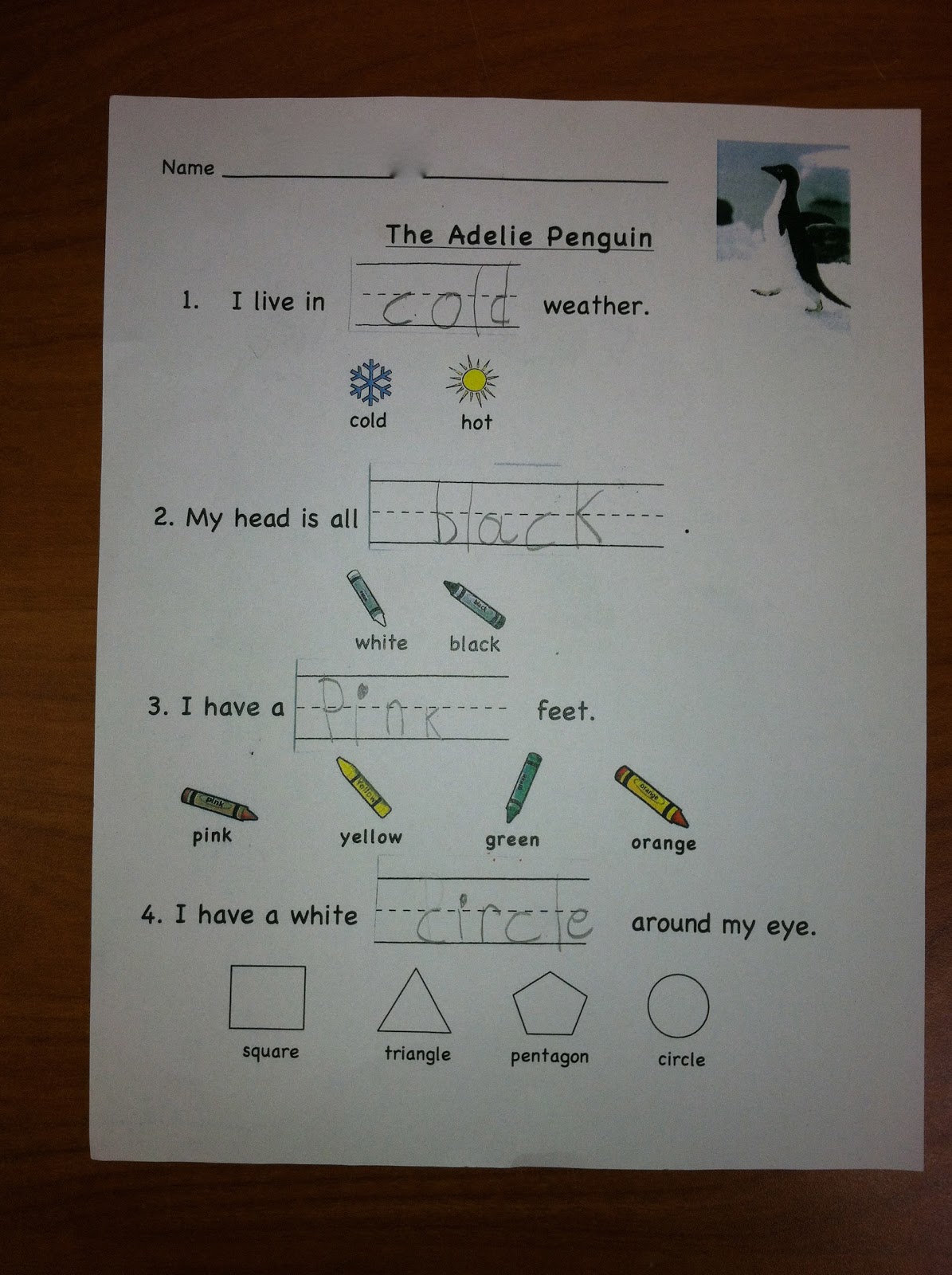 Sweet Kinders: A Month of Penguins