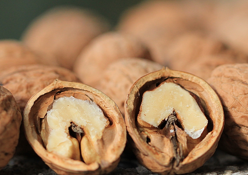 Naturwunder ...: Walnuß