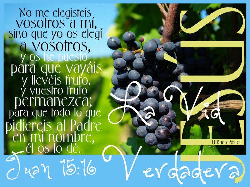 YO SOY EL BUEN PASTOR: Juan 15:16
