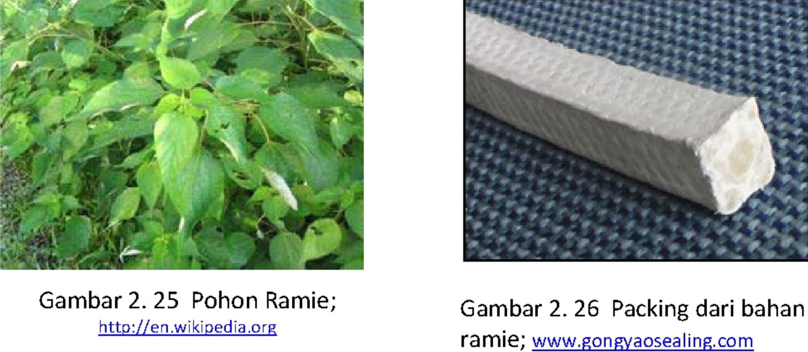 Bahan Alat Penangkap Ikan Dari Serat Alami Tumbuhan - Lalaukan