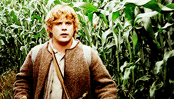 The League of Literary Gentlemen: Samwise the Stouthearted, Part One ...