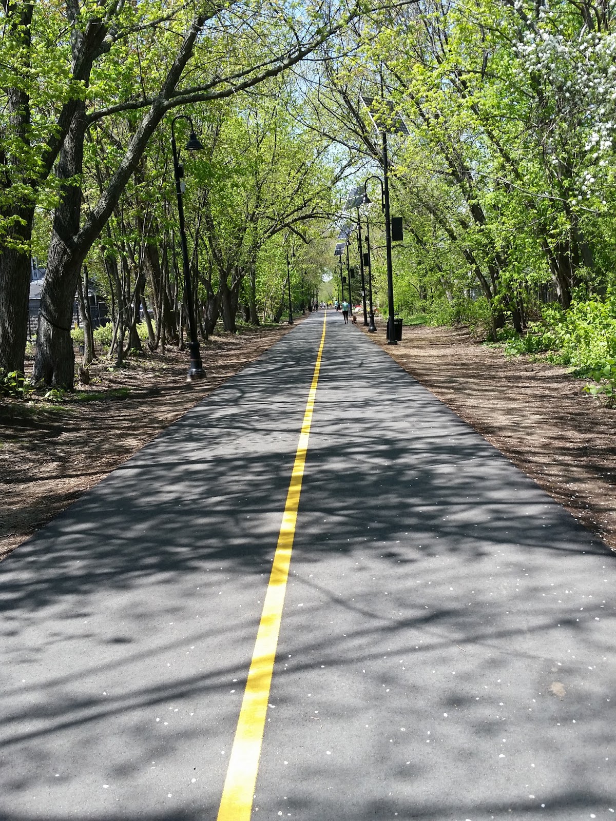 Age Friendly Communities: Examples of Age friendly Designs