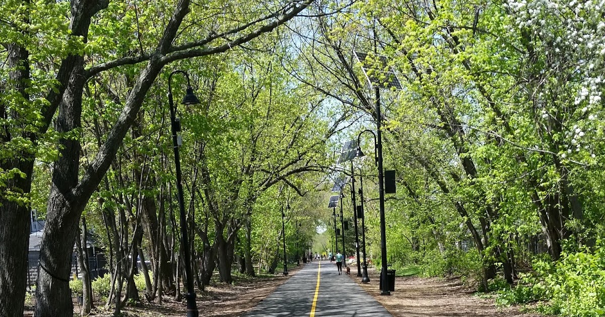 Age Friendly Communities: Examples of Age friendly Designs