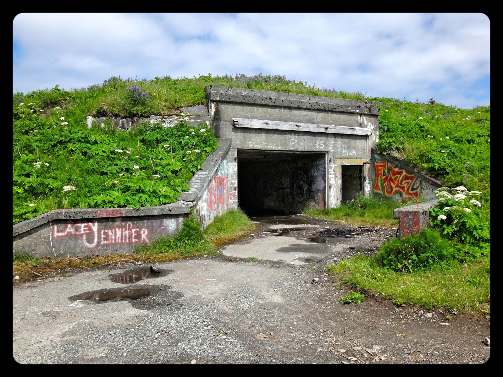 Florida Beaches To The Bering Sea: More From Kodiak, Alaska