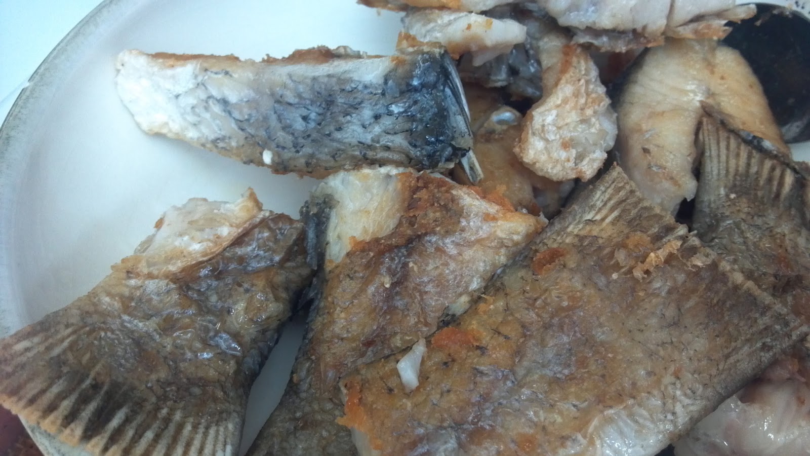 Pinky's Creative Recipes: Bhetki Narkol Mach (Fish cooked in coconut milk)