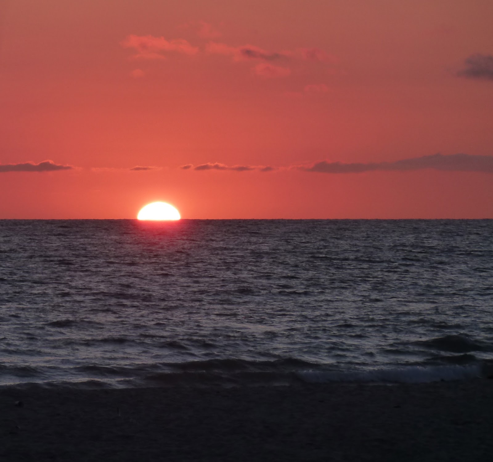 Observations: Bonfire at Moonlight Beach