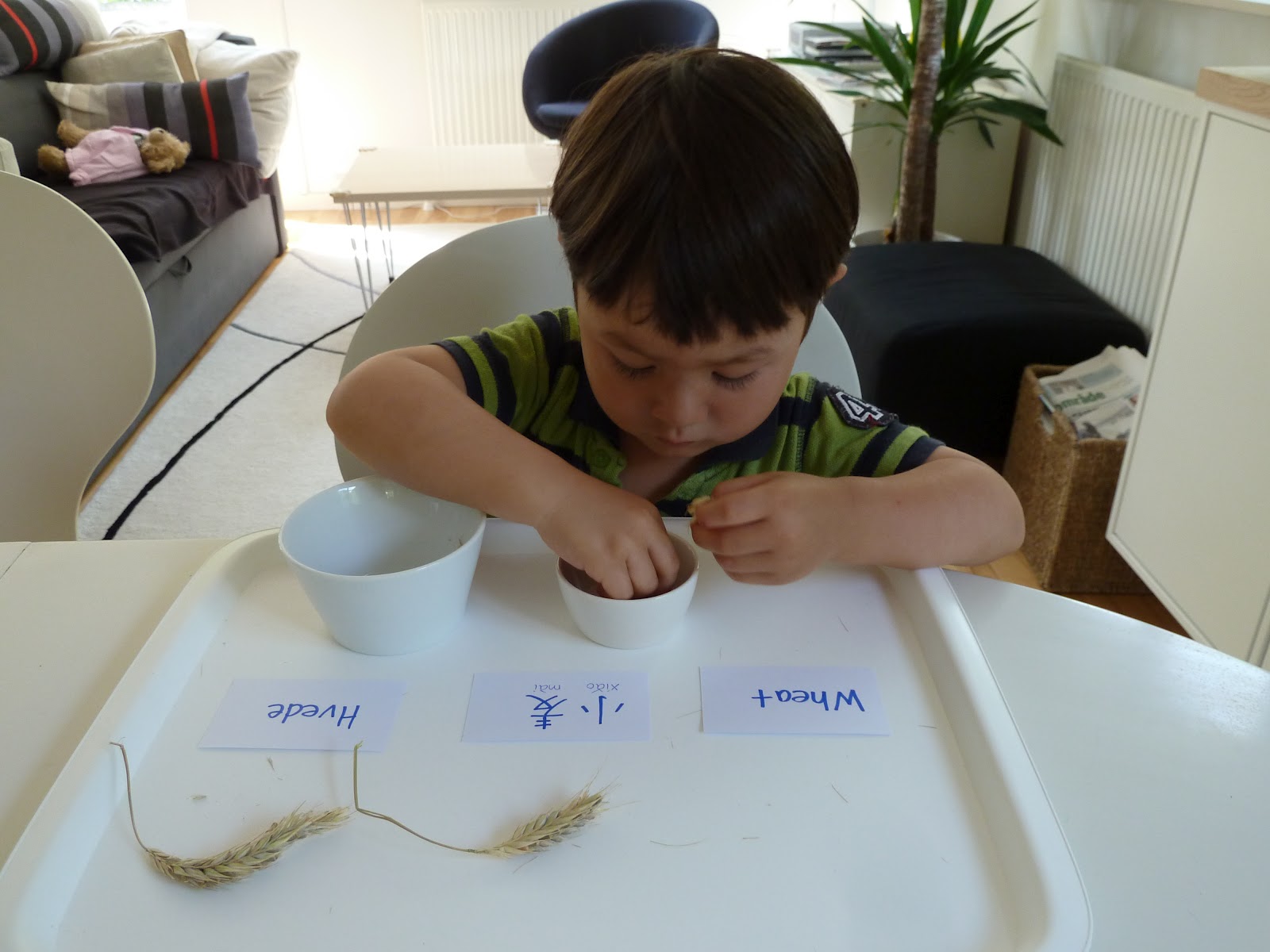Family FECS: Montessori Activity: Home-Made Trilingual Cards with Real ...