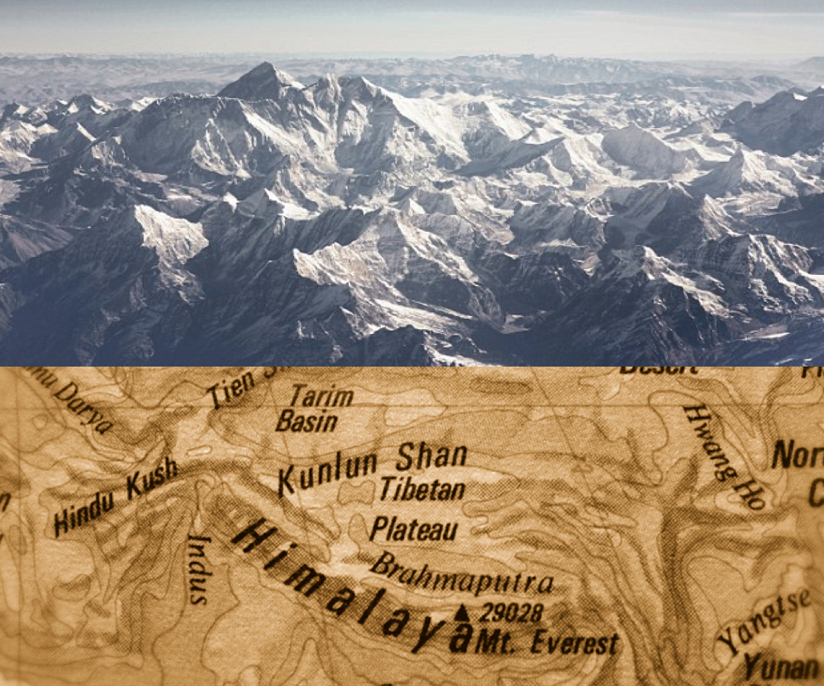 NephiCode: The Brazilian Shield