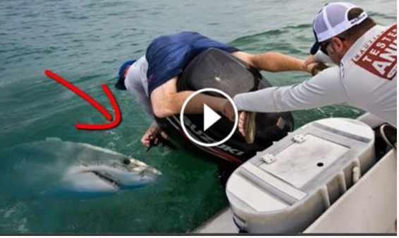 Fishing Fails Funny - Compilation Fishing 2016 Very Funny - Fisherman ...