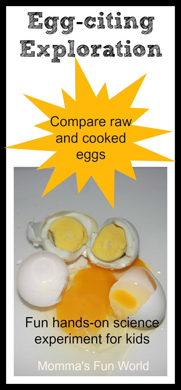 Momma's Fun World: Volcano Egg Science