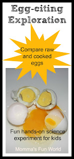 Momma's Fun World: Volcano Egg Science