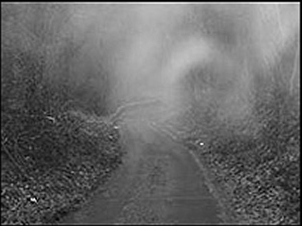 HAUNTED ROADS: A SAMPLING OF SOME OF AMERICA'S GHOSTLY HIGHWAYS!!