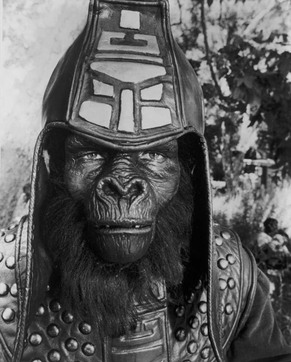 Game Of Thrones Houses: MONKEY BUSINESS ON THE "PLANET OF THE APES"