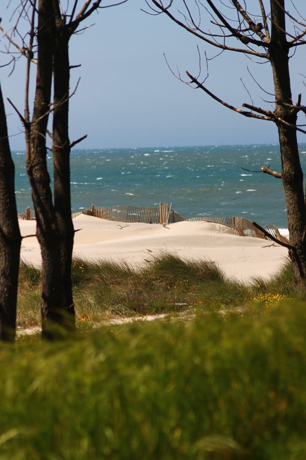 About Portugal: Praia do Rodanho - (Vila Nova de Anha) Viana do Castelo