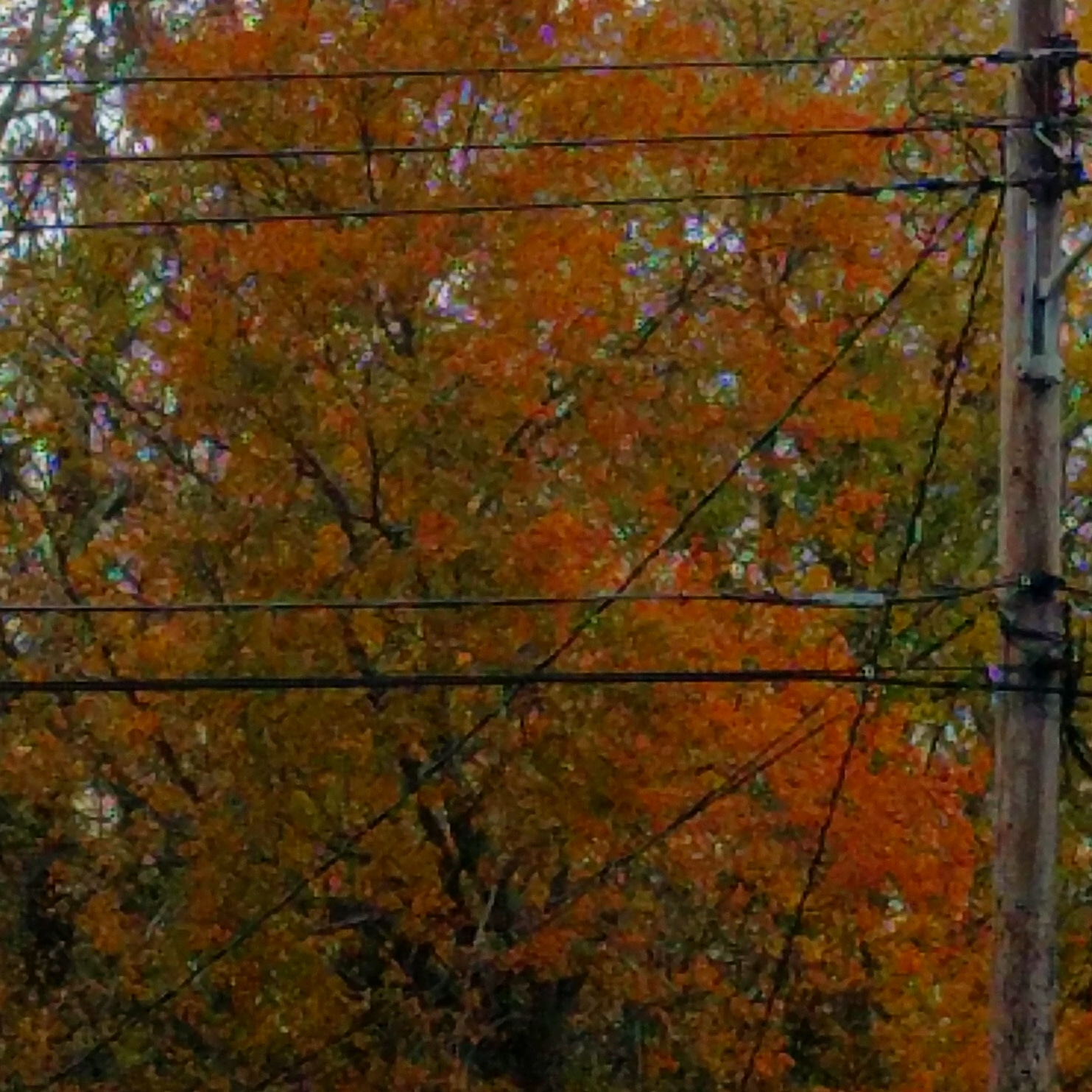 Cottage by the Sea : Autumn by the Bay