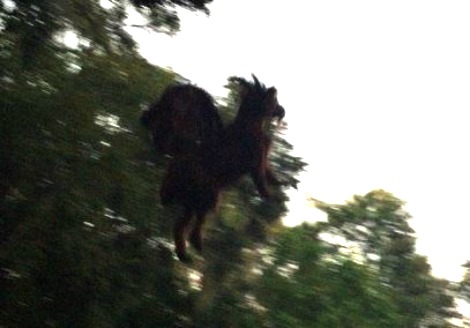 Please enable JavaScript