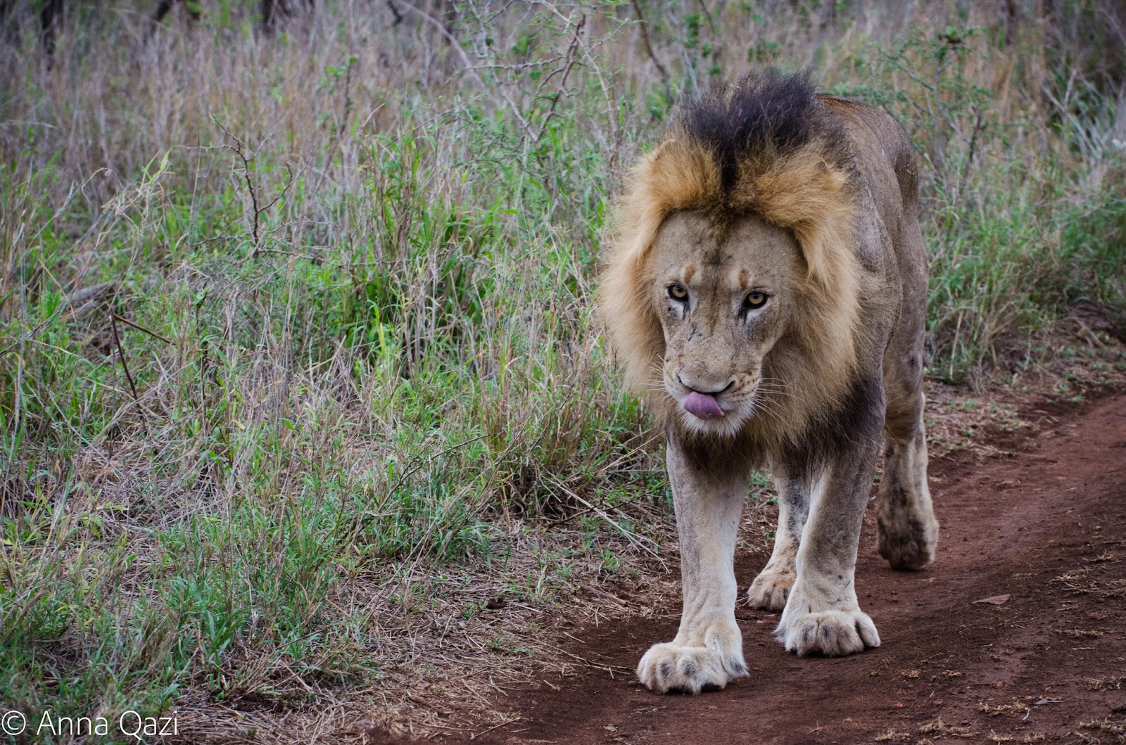 Guest Experience Highlight: Ania and Imran - Rhino River Lodge
