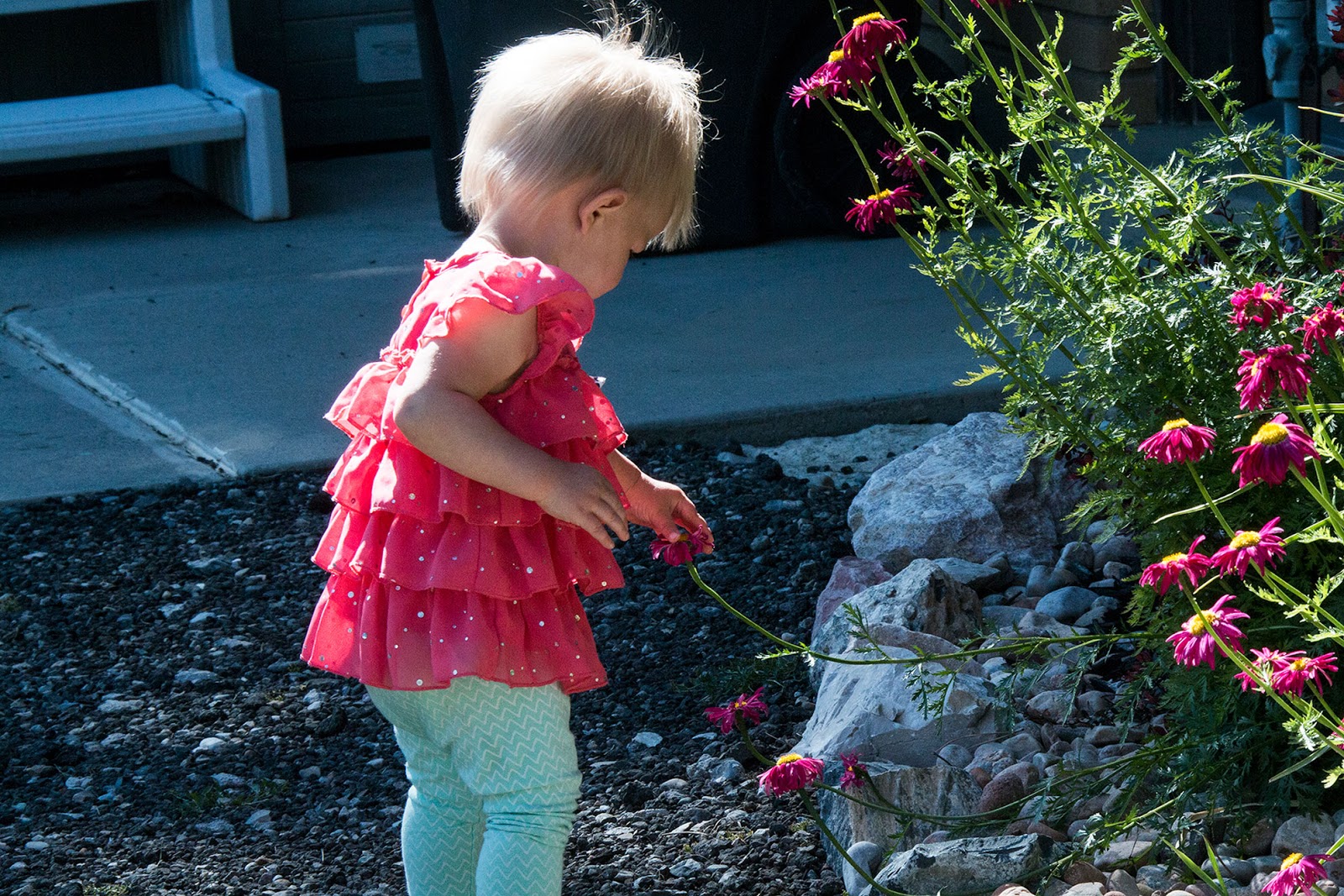 KP's History: 06/01/2018 - 07/01/2018