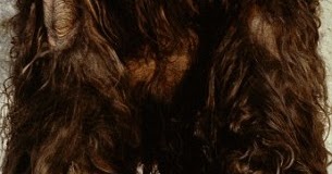 Blog Misteri Tesla: Legenda Yeti