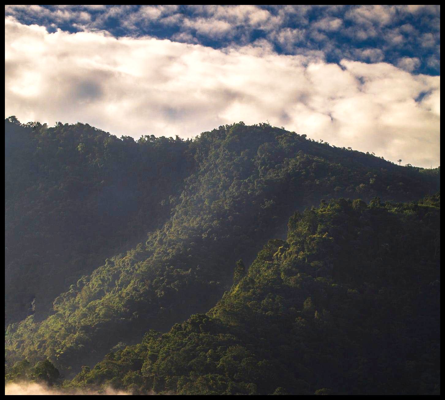 Jatinga,Assam,India | Travel life journeys