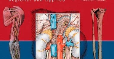 MEDICAL BOOKS PDF FOR FREE: Last's Anatomy
