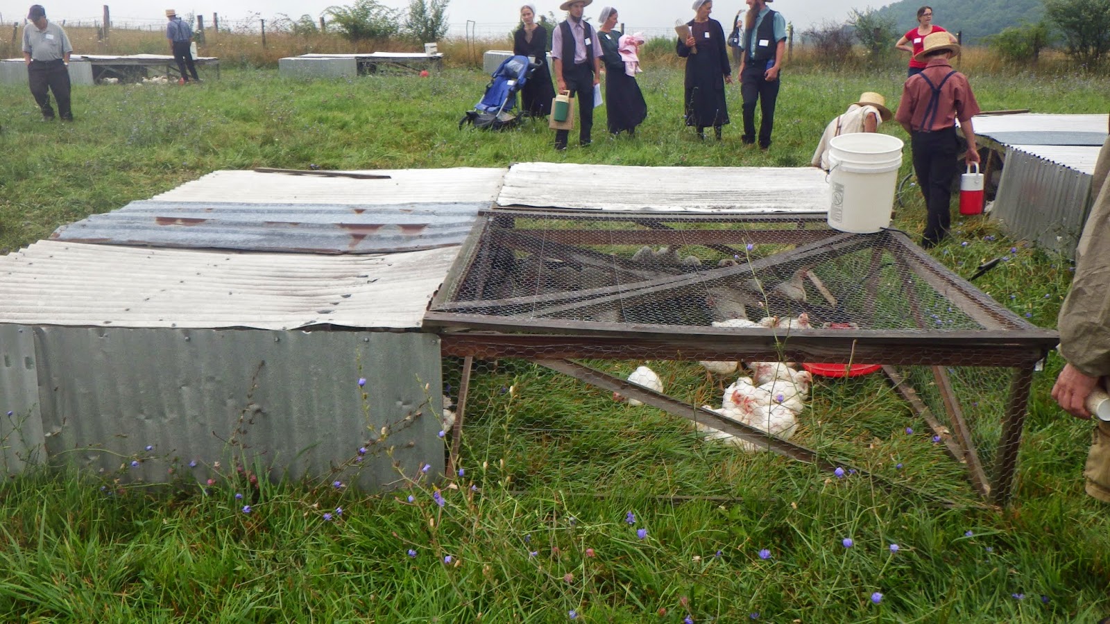 The Outcrop: Polyface Farm Tour Part 1 - Broilers & Chicken Tractors