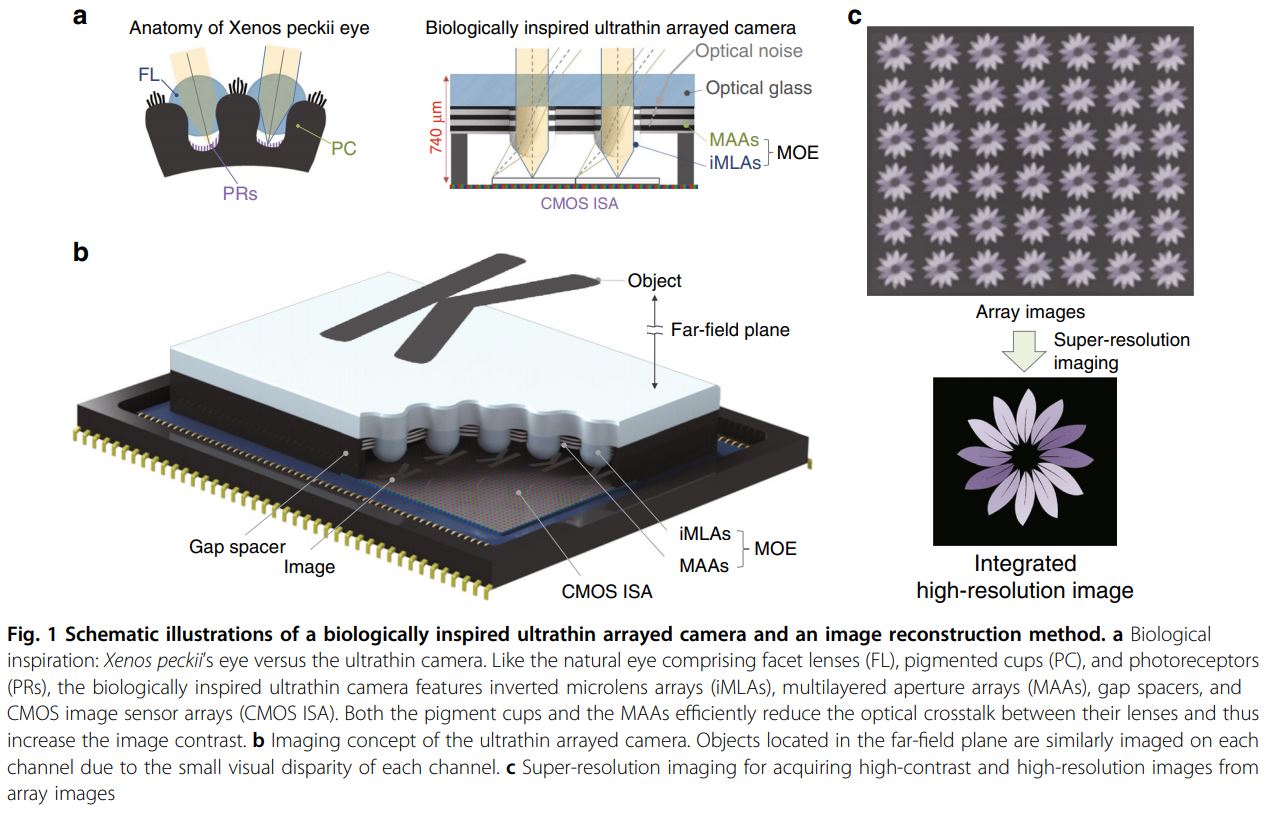 Image Sensors World: One More Array Camera