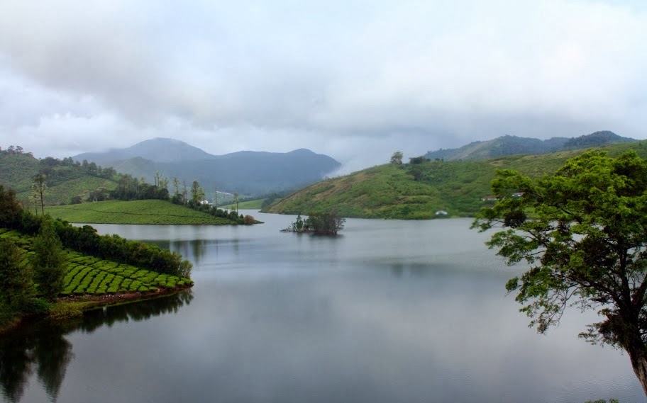 Tamilnadu Tourism: Megamalai