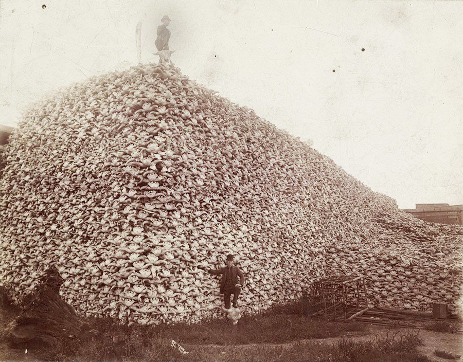 Why America Wouldn’t Be America Without This Mountain Of Skulls