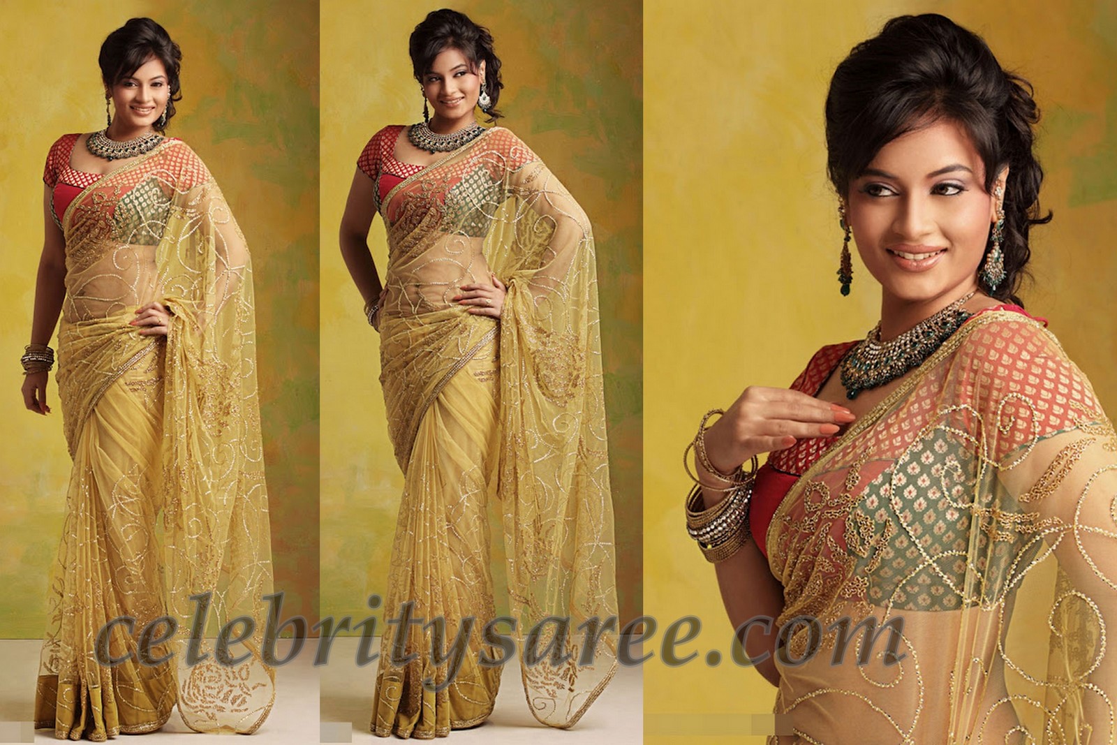 Suja Varuni in Netted Saree - Saree Blouse Patterns