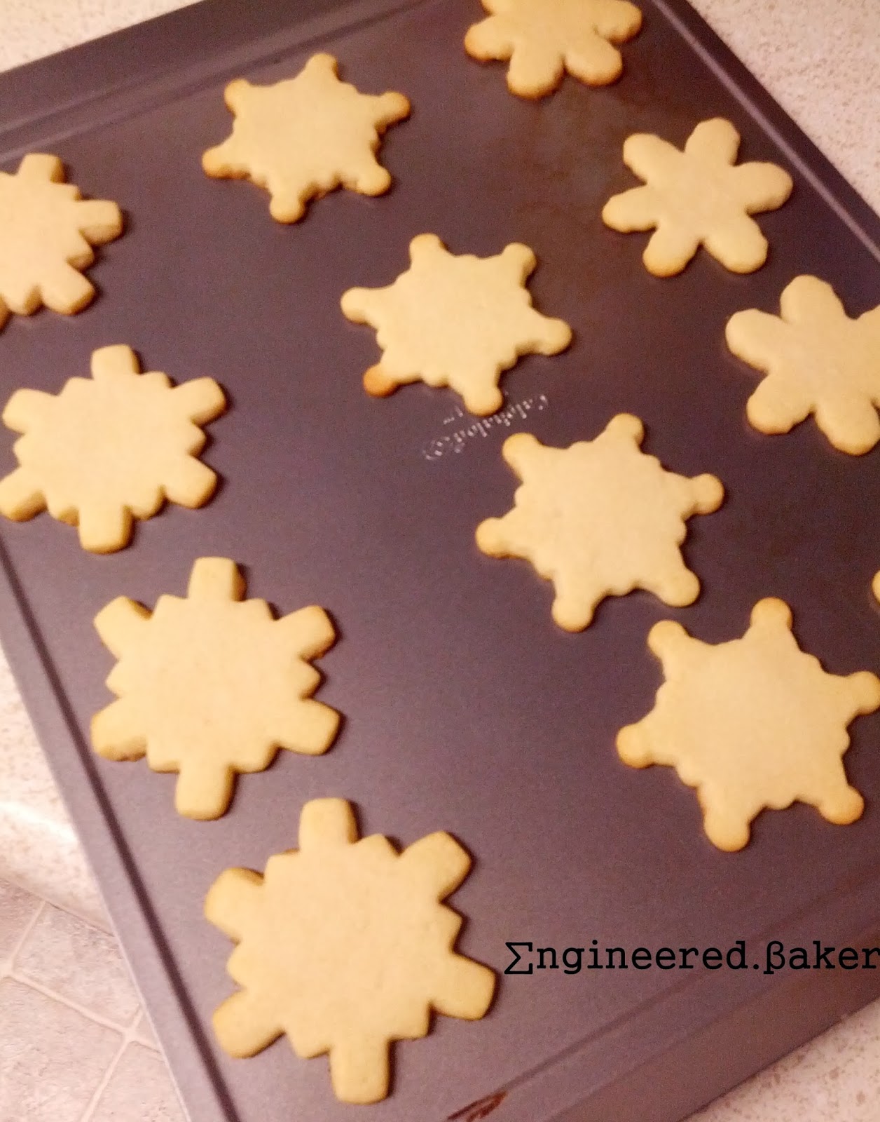 The Engineered Baker: Decorating Cookies Basics Part 1: Shortbread ...