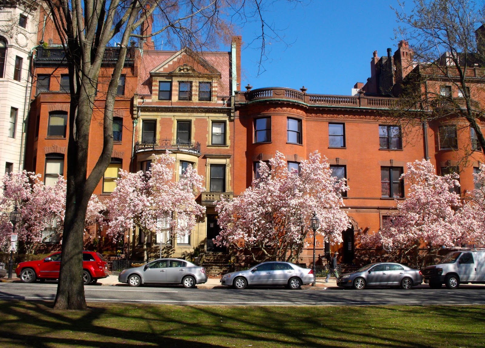 Carrie Etter: Commonwealth Avenue, Boston