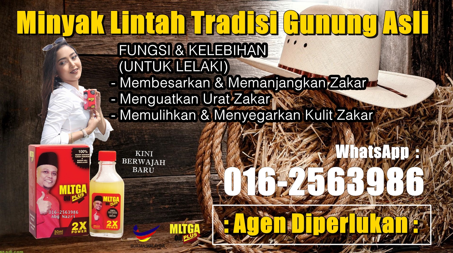 PEMBEKAL UTAMA MINYAK LINTAH BELACAK MLTGA OIL PLUS PATI LINTAH GUNUNG ...