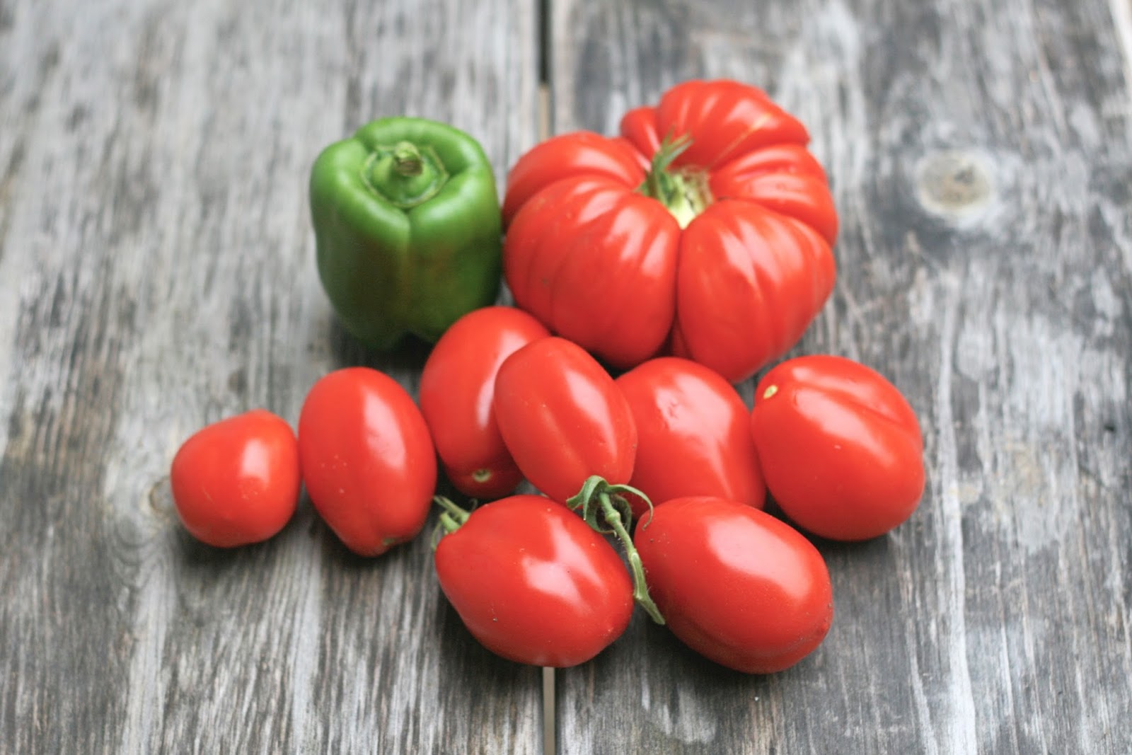 Heather Rolin: Garden Fresh Chili