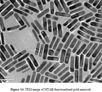 Breakthrough in loading gold nanorods into cells could lead to new ...