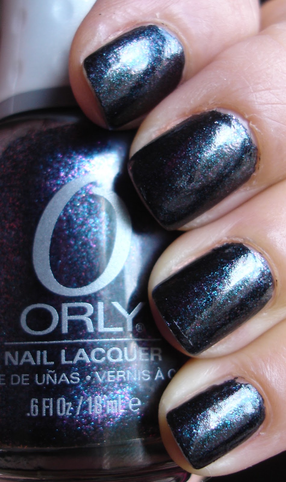 My Chihuahua Bites!: Orly - "After Party"