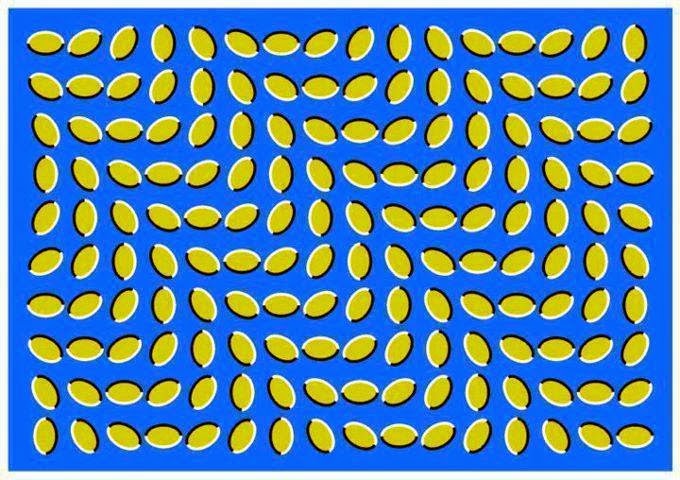 Moving Pictures Optical Illusions to Trick Your Brain
