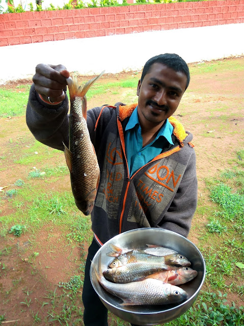 Travel magic: Tapola - the stress buster.